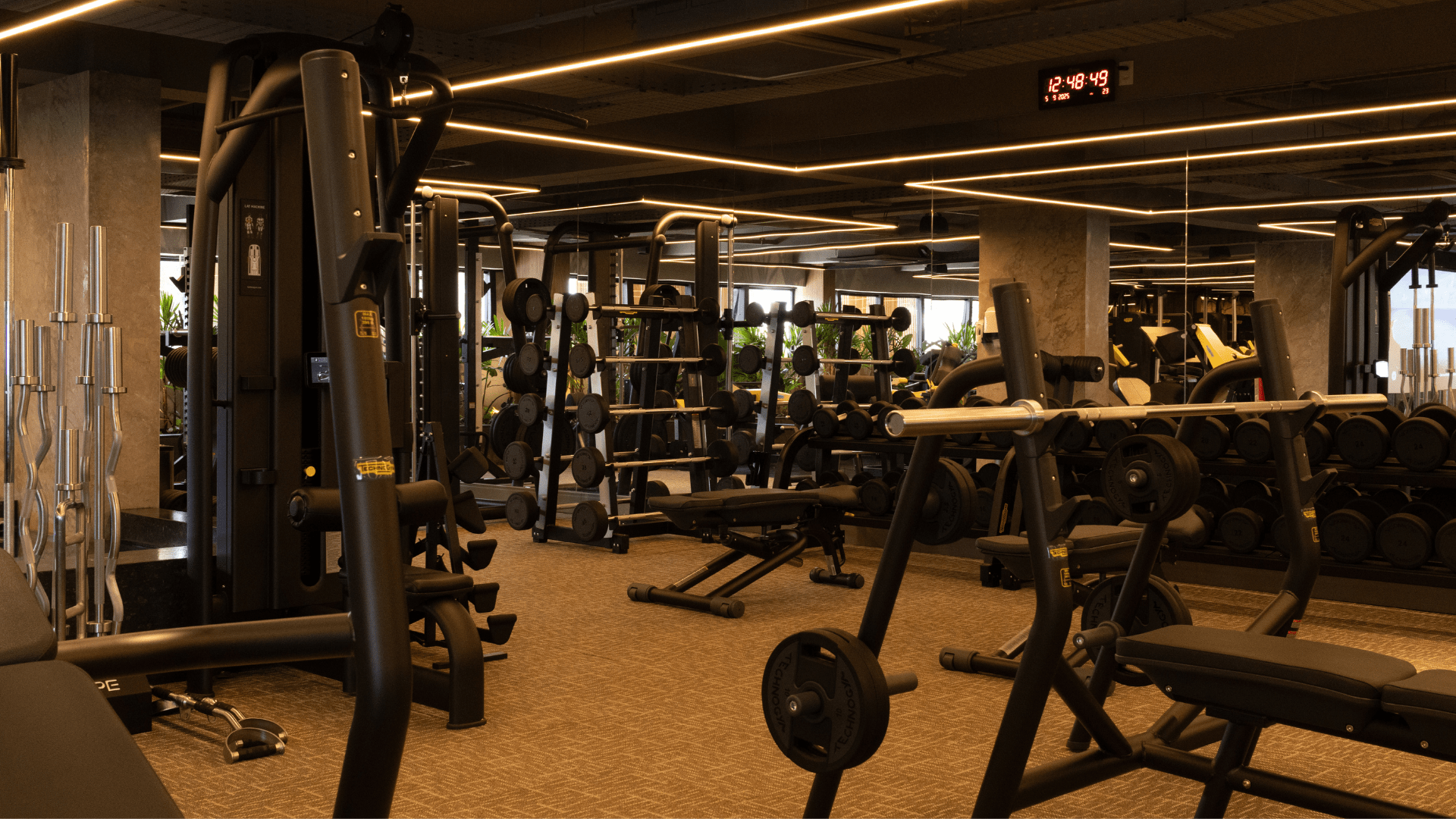 SIX Sport Life prevê faturamento de R$ 60 milhões em 2026 - GoWhere ...